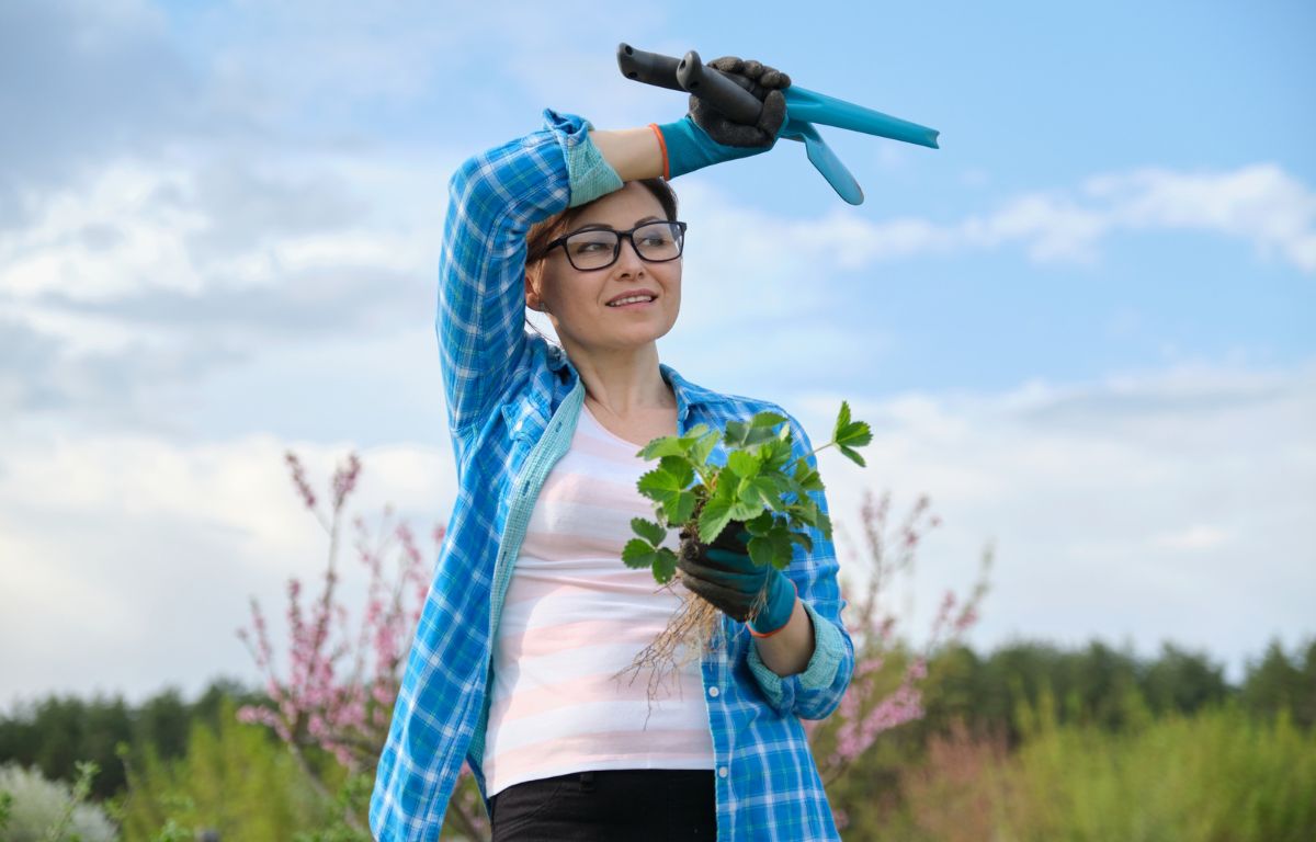 10 Tips for Preparing Your Garden for a Hot Summer – The Balcony Garden