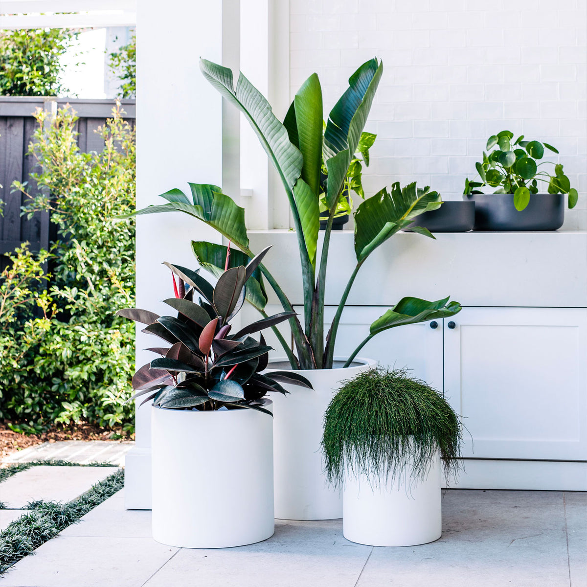 Willow Range – The Balcony Garden