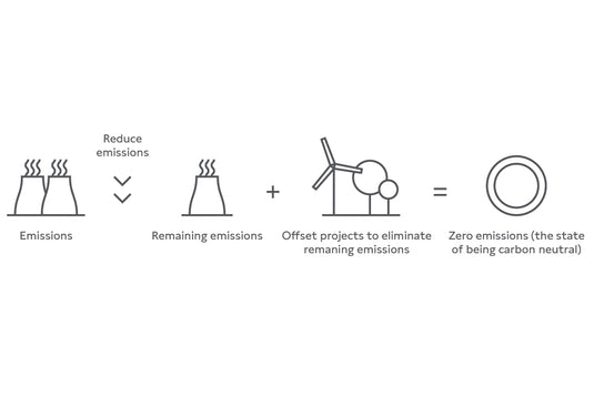Carbon Offset – The Balcony Garden