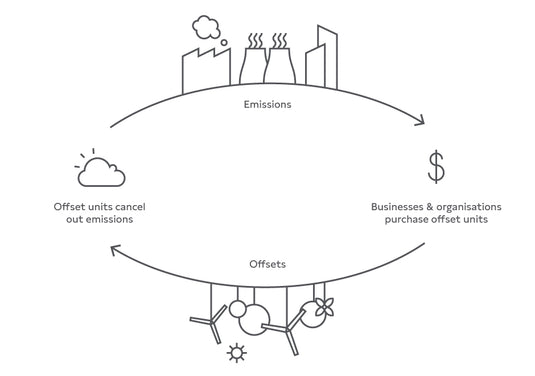 Carbon Offset – The Balcony Garden