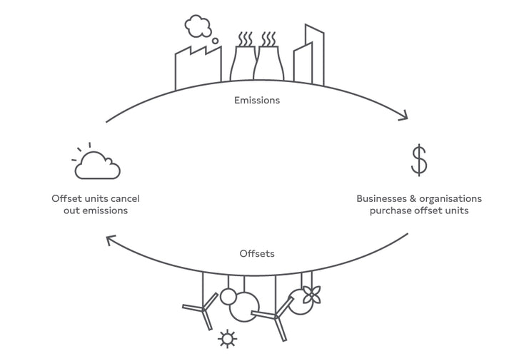 Carbon Offset – The Balcony Garden
