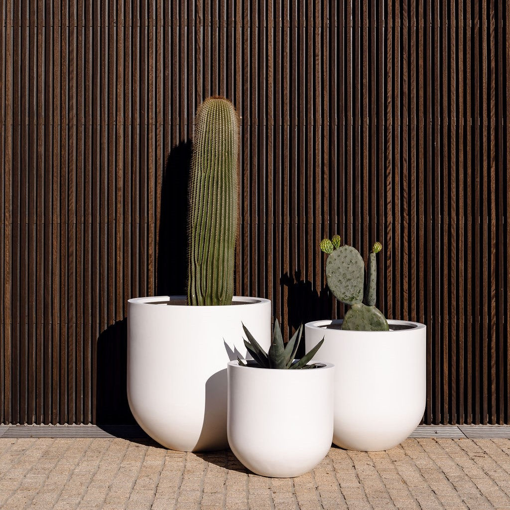 Straight Up Planter – The Balcony Garden