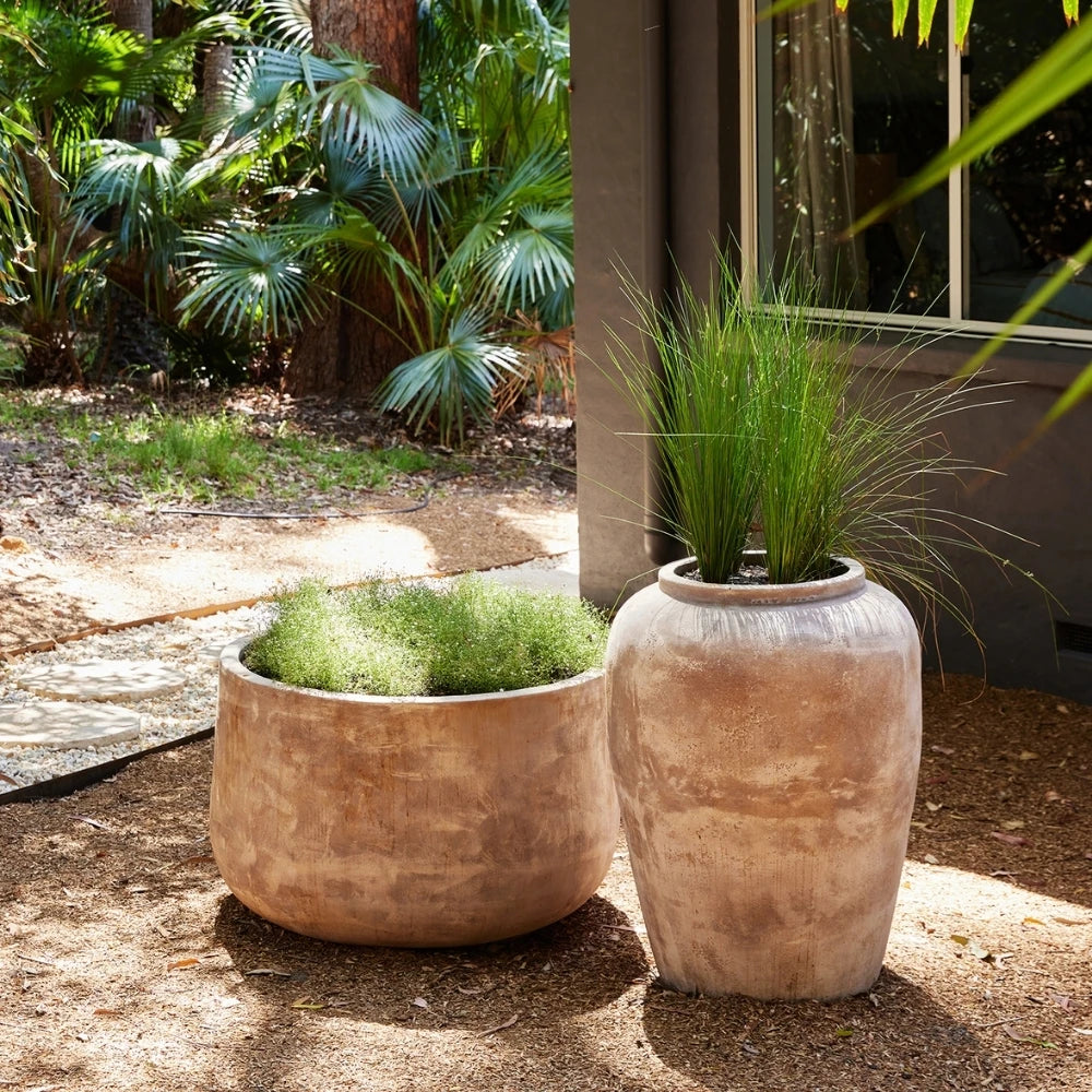 Tree Hugger – The Balcony Garden