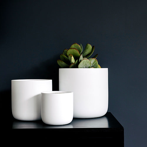 Slim Pickins Indoor Pots – The Balcony Garden