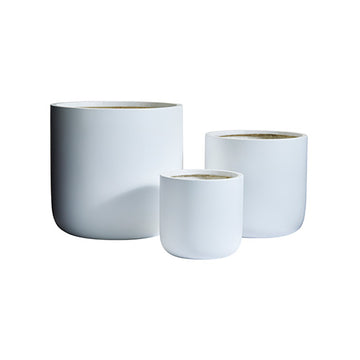 Slim Pickins Indoor Pots – The Balcony Garden
